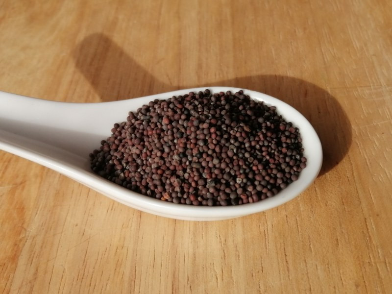 Comprar mostaza marrón, sin gluten - 1001Especias cantidad 80 g